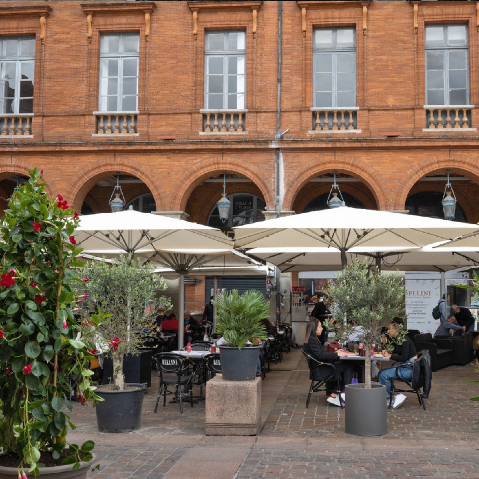 Notre caractère - Le bellini